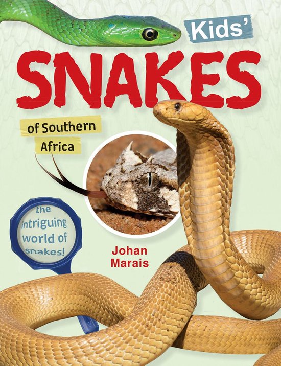 Kids’ snakes of Southern Africa (ebook), Johan Marais | 9781775845096 ...