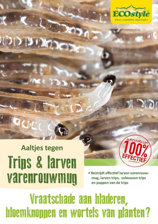 ECOstyle Aaltjes tegen Larven Trips - Bestrijdingsmiddel Insecten ...