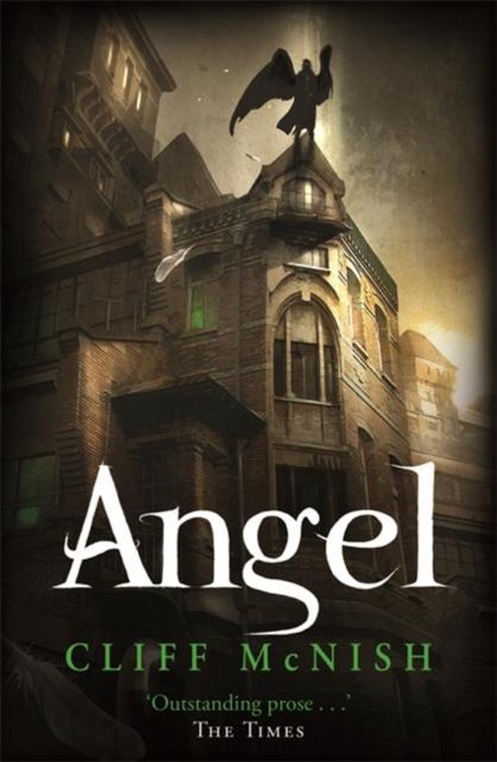 Angel, Cliff Mcnish | 9781842556290 | Boeken | bol.com