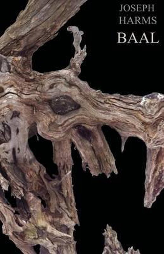 Baal, Joseph Harms | 9781495360329 | Boeken | bol.com