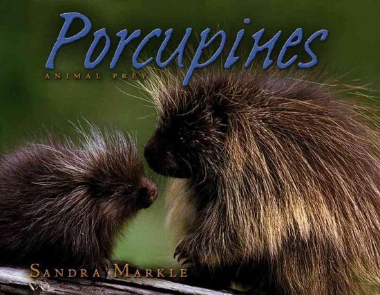Porcupines | 9780822564393 | Sandra Markle | Boeken | bol