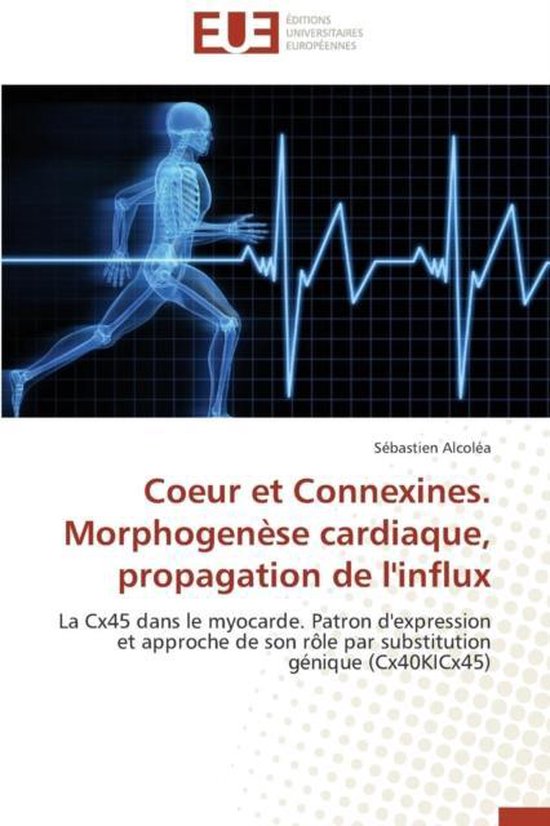 Coeur Et Connexines. Morphogen se Cardiaque, Propagation de l'Influx ...