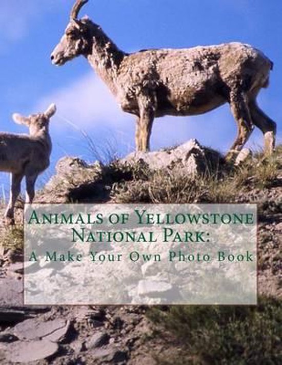 Animals of Yellowstone National Park, Cliff K | 9781478205630 | Boeken ...