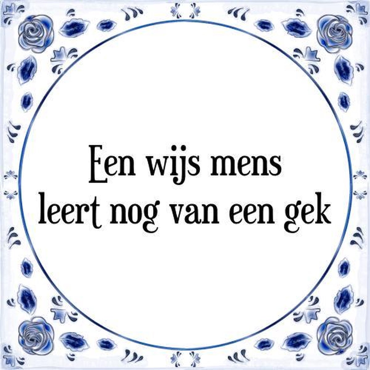 Tegeltje met Spreuk (Tegeltjeswijsheid): Een wijs mens leert nog van een gek + Kado... | bol.com