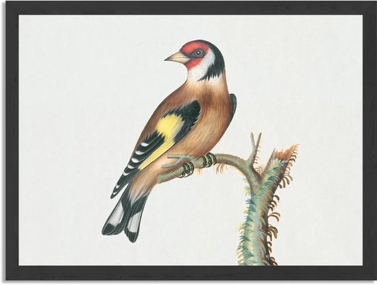 Poster Prent Natuur Vogel en Bloemen 15 Rechthoek Horizontaal Met Lijst ...