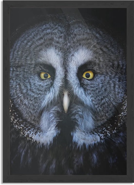 Poster Uil Hoofd Close Up Rechthoek Verticaal Met Lijst XL (50 X 70 CM ...