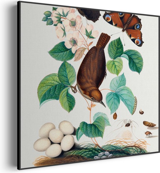 Akoestisch Schilderij Prent Natuur Vogel en Bloemen 03 Vierkant Pro XXL (140 X 140 CM)... | bol