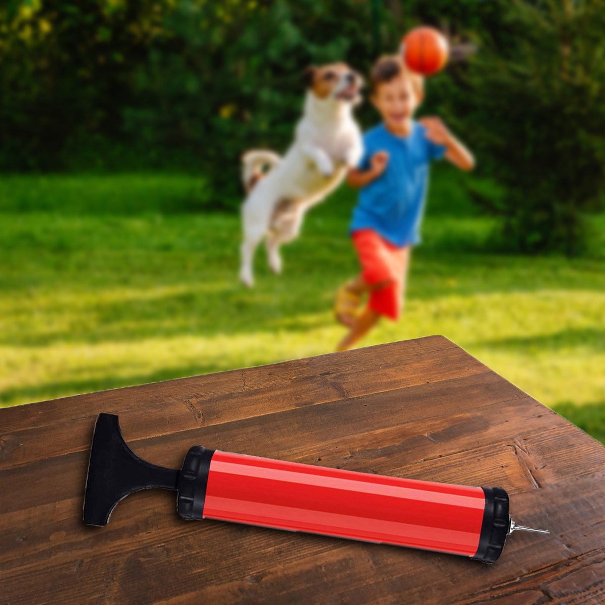 Ballenpomp voor het Oppompen van Bal Inclusief Naald – 24cm | Balpomp ...