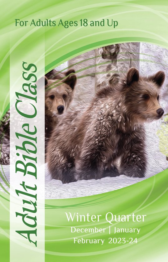 Adult Bible Class (ebook), David Rowland | 9781644957349 | Boeken | bol.