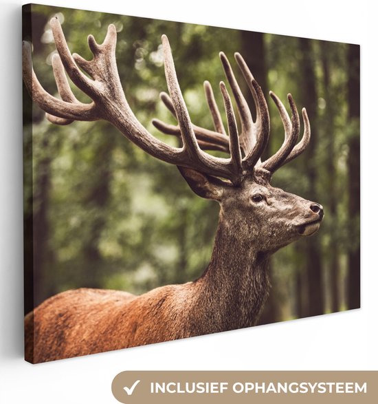 Canvas schilderij 160x120 cm - Wanddecoratie Hert - Natuur - Gewei ...