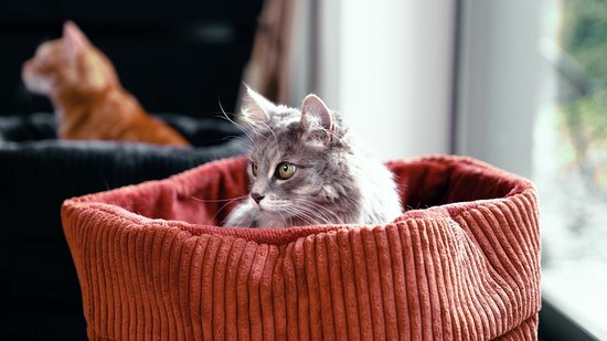 Designed by Lotte Ribbed - Kattenmand - Roze - 50x50x35 cm | bol