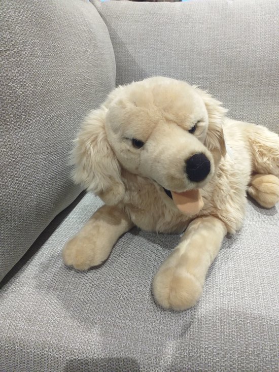 Labrador knuffel 75 cm - Hond knuffel | bol