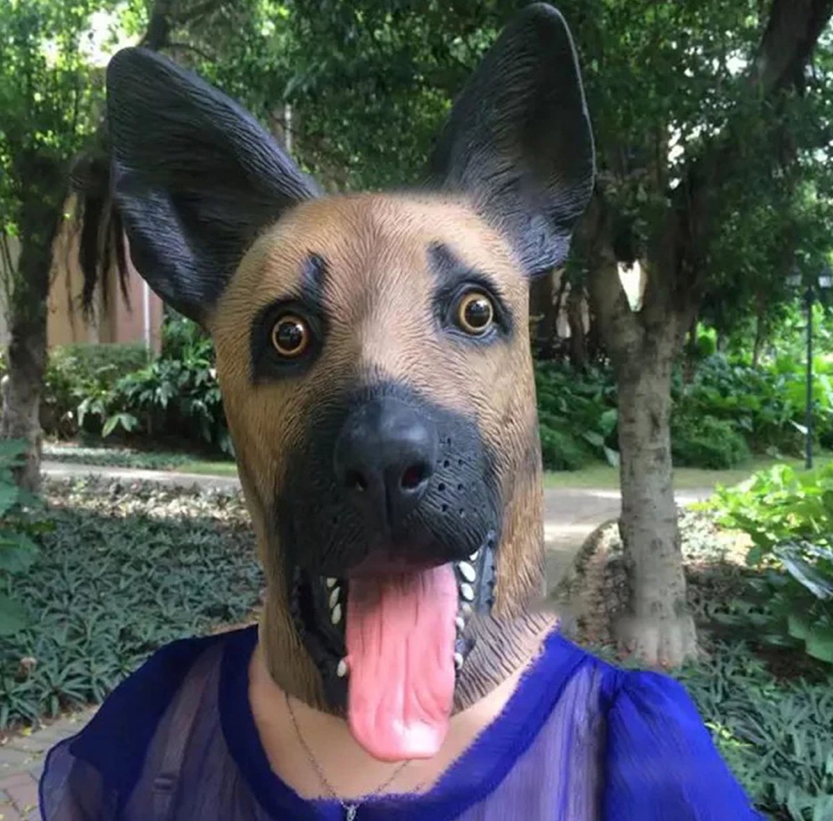 Duitse Herder Masker - Hond - Hondenmasker - BDSM - Halloween ...