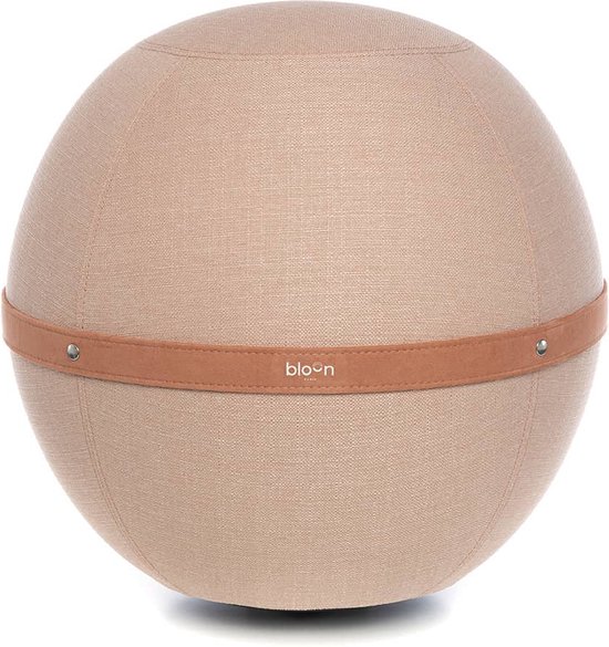Bloon Paris Original Rose Pastel - Regular | bol
