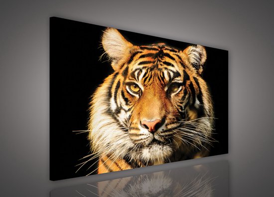 Canvas Schilderij - Tijger - Bruin - Ogen - Dier - Roofdier - Natuur - Inclusief Frame... | bol