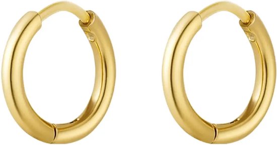 oorringen- goud - stainless steel - perfecte basic - 1,8 mm - 3 mm ...