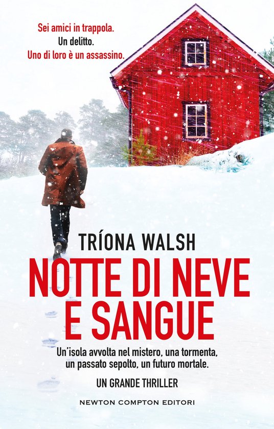 Notte di neve e sangue (ebook), Triona Walsh | 9788822774286 | Boeken | bol