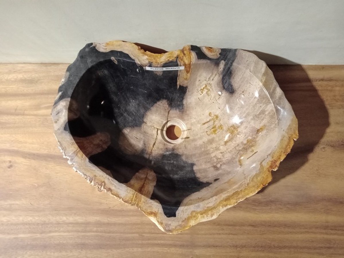 Waskom van versteend hout - 56x43x15cm - FL22126 | bol