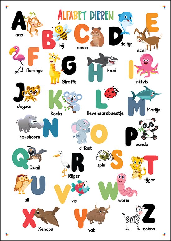 Affiche animaux alphabet | Affiche animaux Alphabet Fotofabriek ...