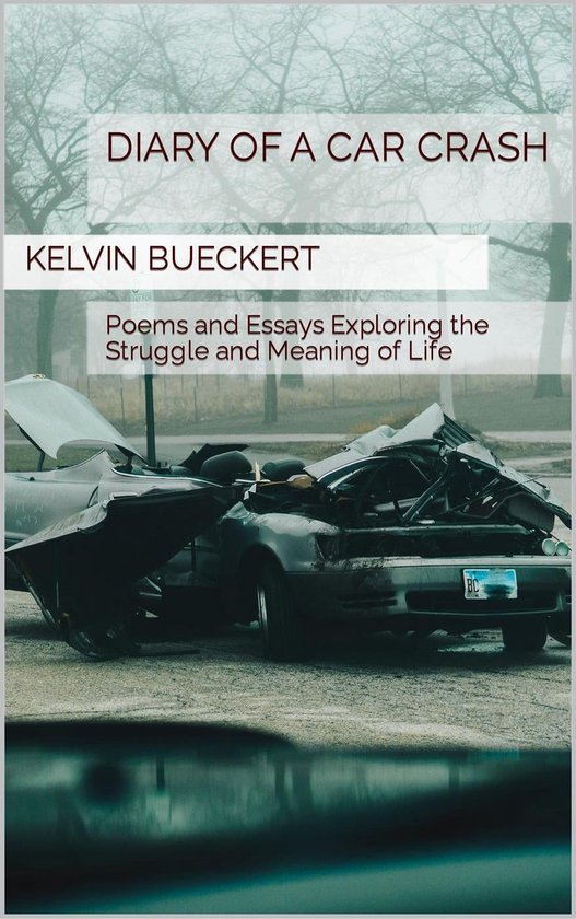 Diary of a Car Crash (ebook), Kelvin Bueckert | 9798223050025 | Boeken ...