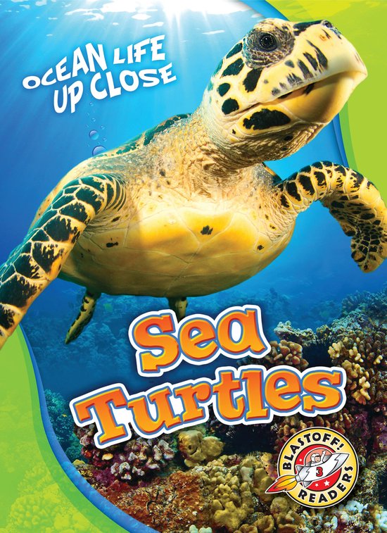 Ocean Life Up Close - Sea Turtles (ebook), Kari Schuetz | 9781681032054 ...