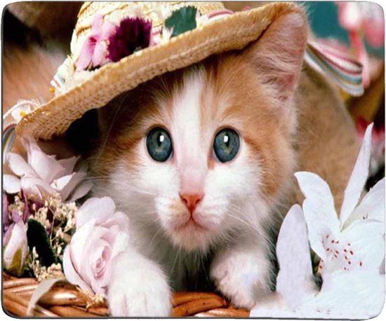 Leuke Muismat Met Kat 180X220X2 Mm | bol