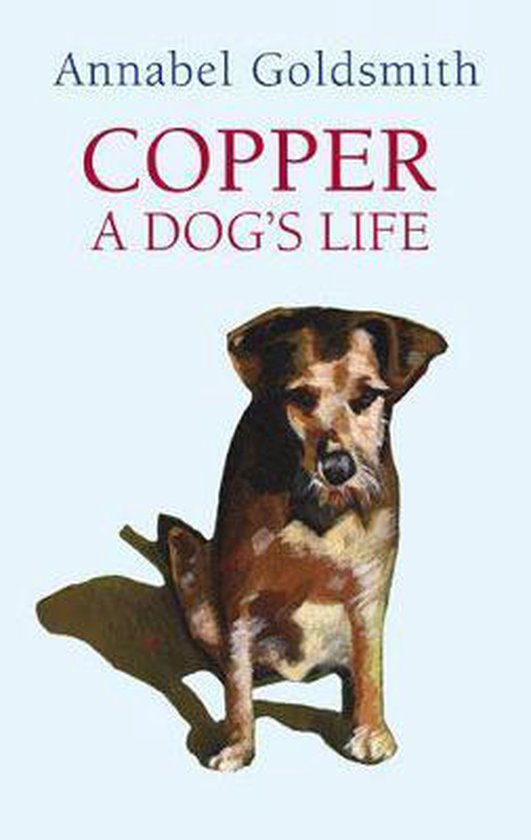 Copper, Annabel Goldsmith | 9780316732048 | Boeken | bol