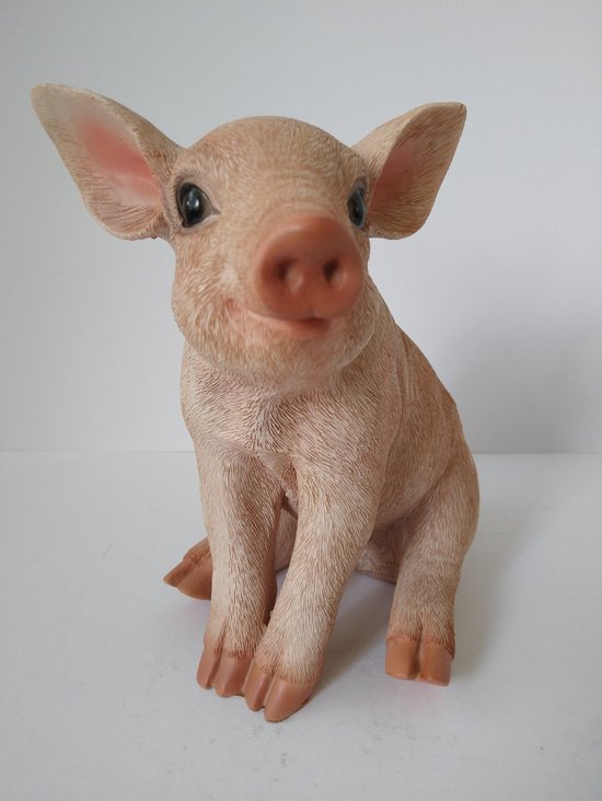 zittend varken/big | 20 x 12 x 19 cm | bol.com
