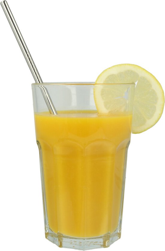 Metalen Rietjes - Zilver - Herbruikbare Rietjes - Vaatwasbestendig ...