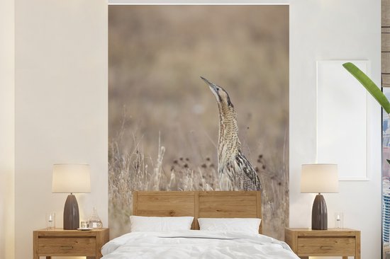 Behang - Fotobehang Een roerdomp steekt met zijn kop boven de ...