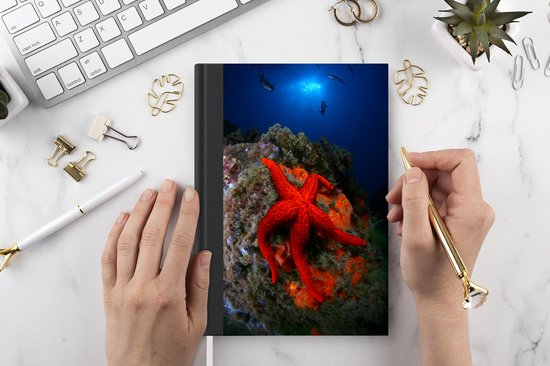 Carnet - Cahier - Étoile de mer - Rouge - Corail - Carnet - Format A5 ...