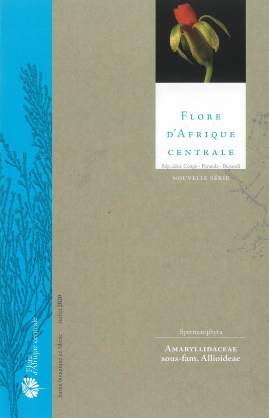 Spermatophyta Amaryllidaceae sous-fam. Allioideae Plantentuin Meise ...