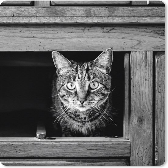 Muismat XXL - Bureau onderlegger - Bureau mat - Kat die uit een kast ...