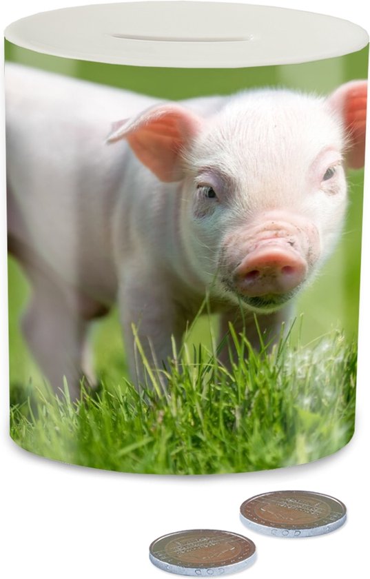 Spaarpot - Spaarblik - Biggetje - Konijn - Dieren - Spaarpotten ...