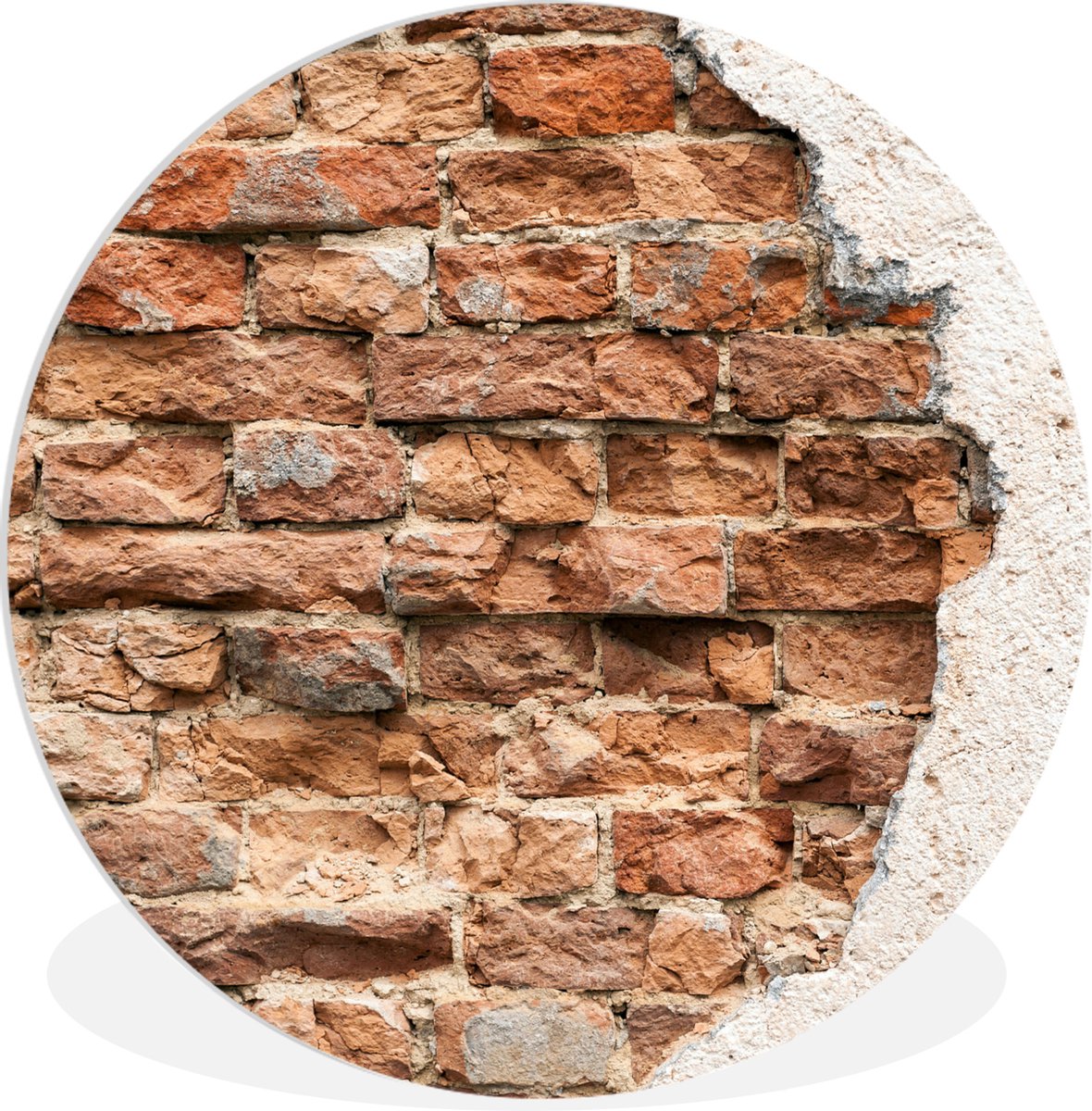 Wall Circle - Wall Circle Indoor - Plâtre - Mur - Brique - ⌀ 150 cm ...