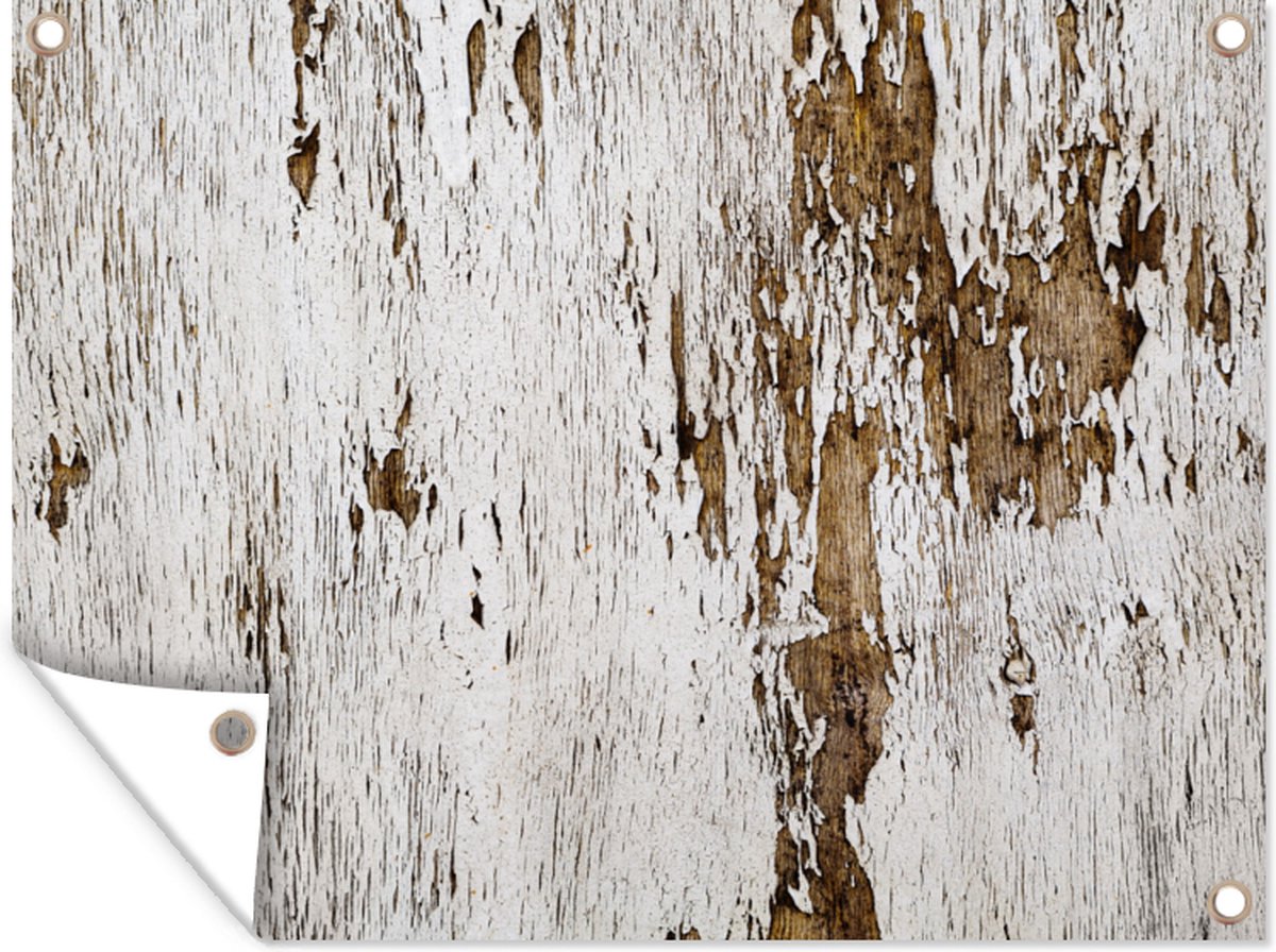 Affiche de jardin Bois - Rustique - Arbre - 120x90 cm - Décoration ...