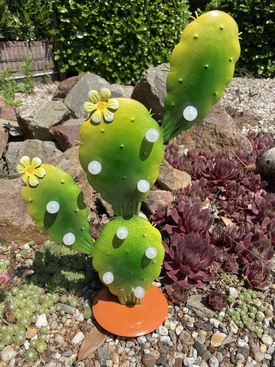 Cactus solarlamp van metaal - met 10 LEDs - hoogte 38x27x11 cm - Op ...