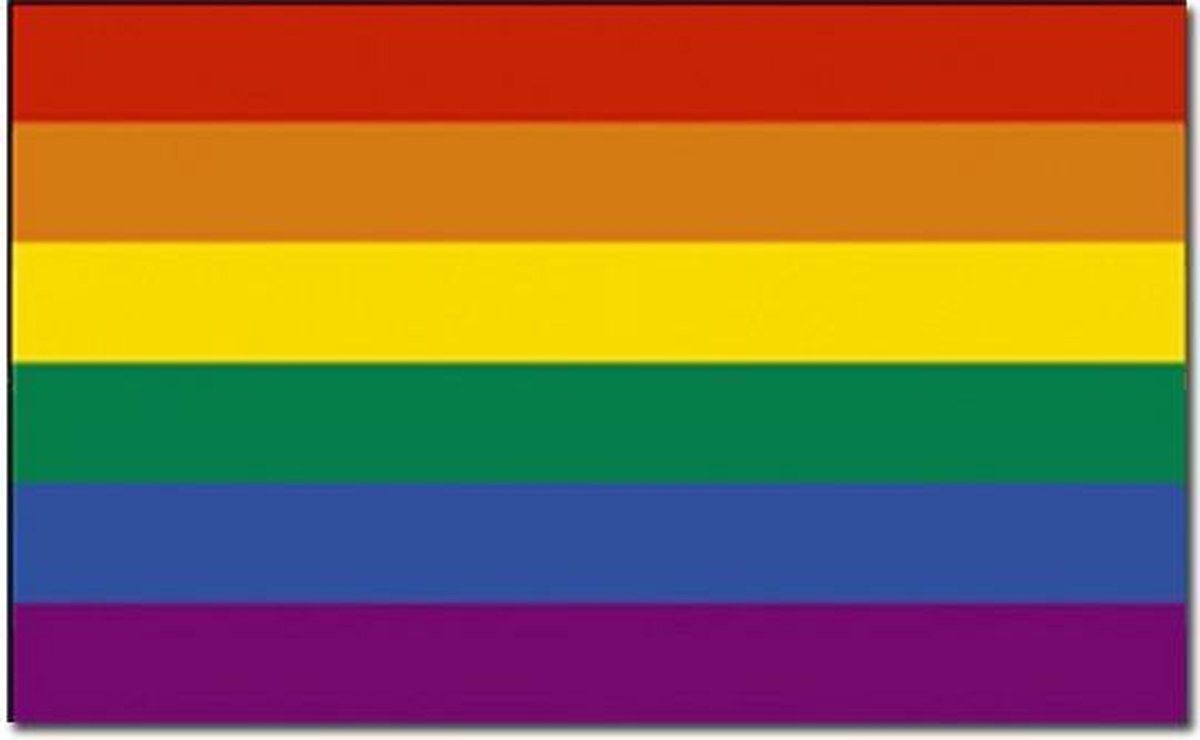 Regenboog vlag 90 x 150 cm - Gay pride vlag | bol.com