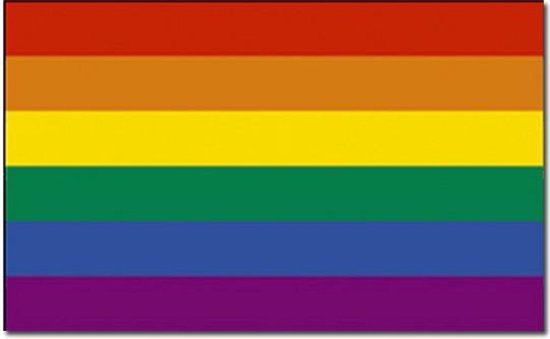Regenboog vlag 90 x 150 cm - Gay pride vlag | bol.com