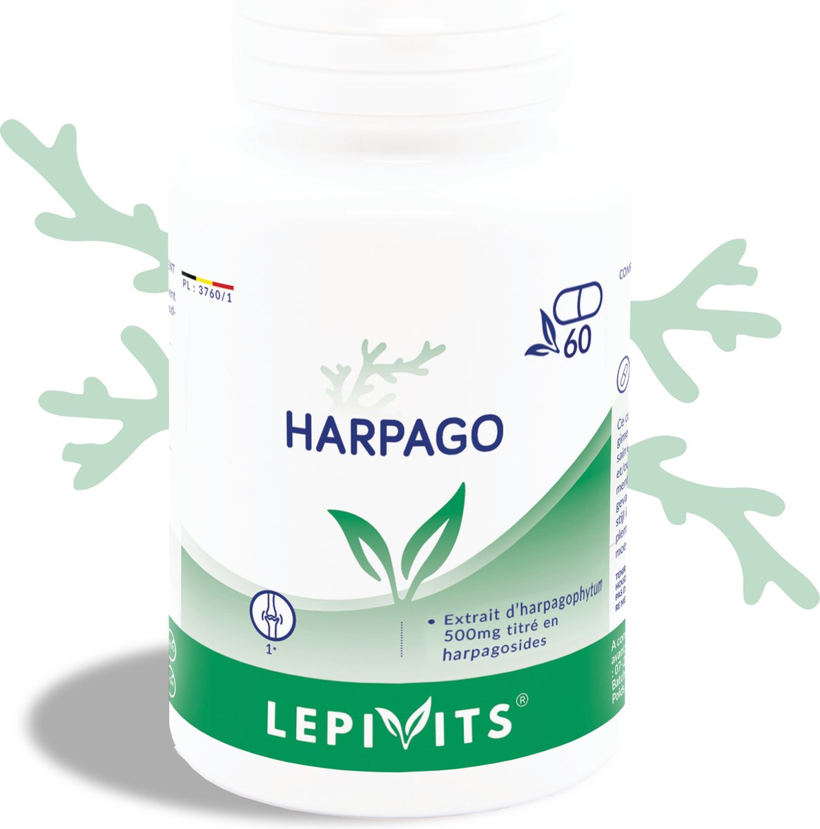 Harpago | 60 plantaardige capsules | Harpagophytum Extract ...