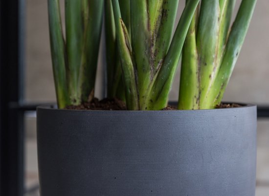 Pottery Pots - Bloempot Ben L - ⌀40cm x H55cm - Indoor en Outdoor ...