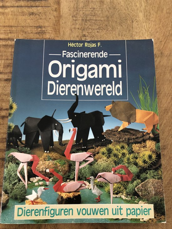 Fascinerende Origami Dierenwer - Héctor Rojas F. | ISBN 9789025204990 ...