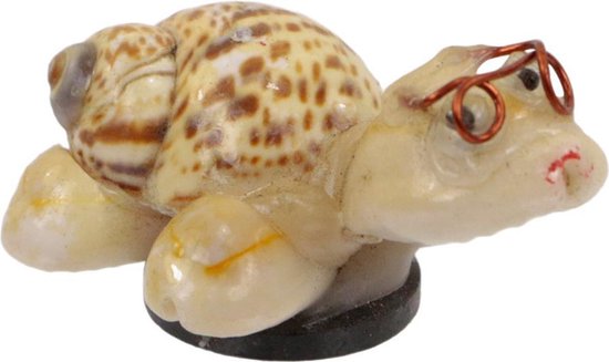Magneet Schildpad van Schelp (4 x 3 cm) | bol
