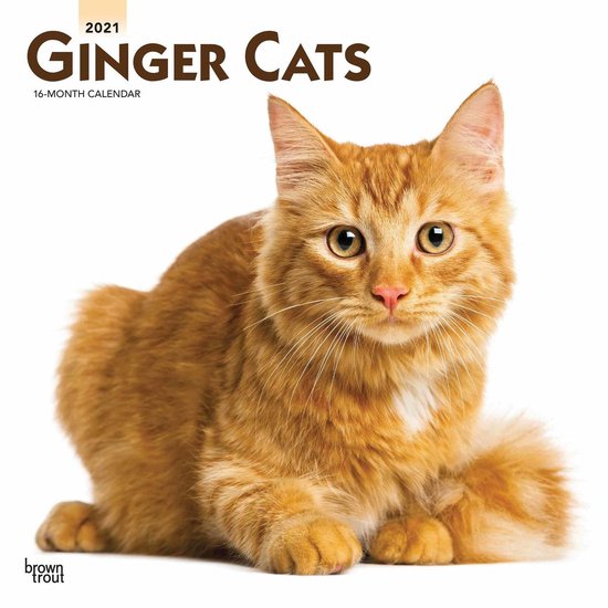 Ginger Cats Kalender 2021 | bol.com