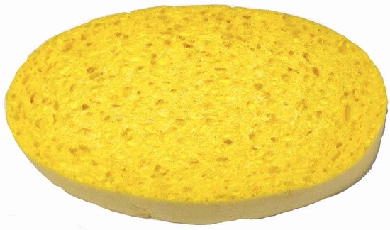 Viscose Spons XXL - Set a 2 Stuks!! - Afmeting: 19,5 x 11 x 4 cm. | bol
