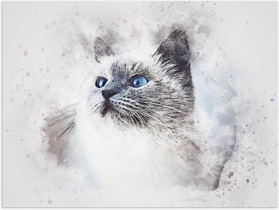 Poster – Tekening van Katten Hoofd - 40x30cm Foto op Posterpapier | bol