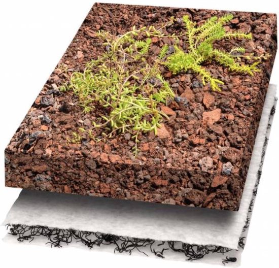 Gauris Groendak, compleet pakket inclusief 80 planten en 500 g sedum ...