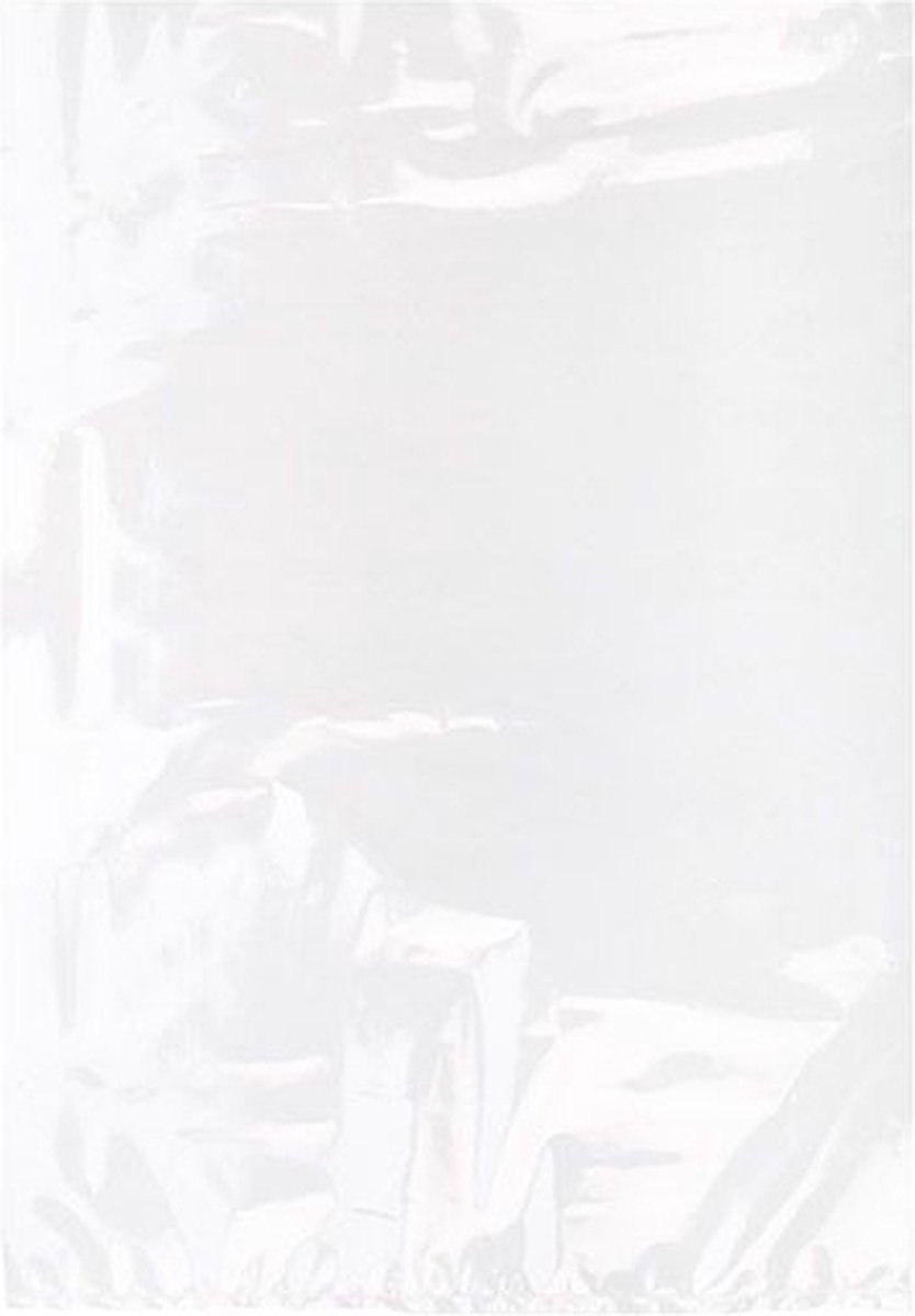 Plastic Zakken 25.4x35.6cm Helder Polypropyleen (100 stuks) | bol.com