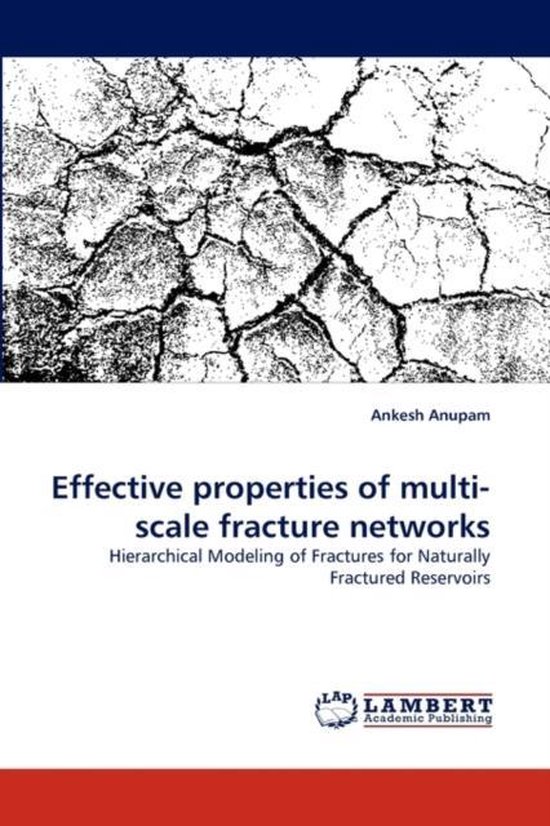 Effective properties of multi-scale fracture networks | 9783843382878 | Ankesh Anupam... | bol.com