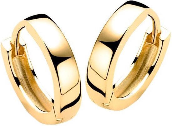 ZINZI oorbellen ZIO191G | bol.com